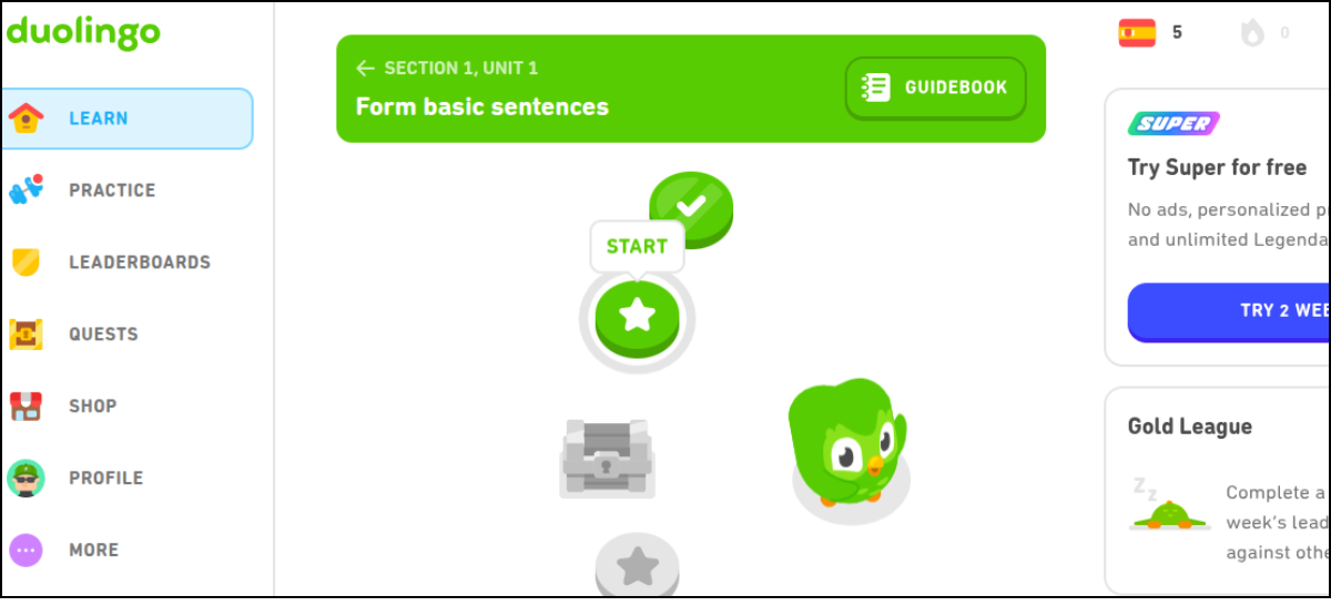 How To Change Your Native Language On Duolingo? - Duo Corner