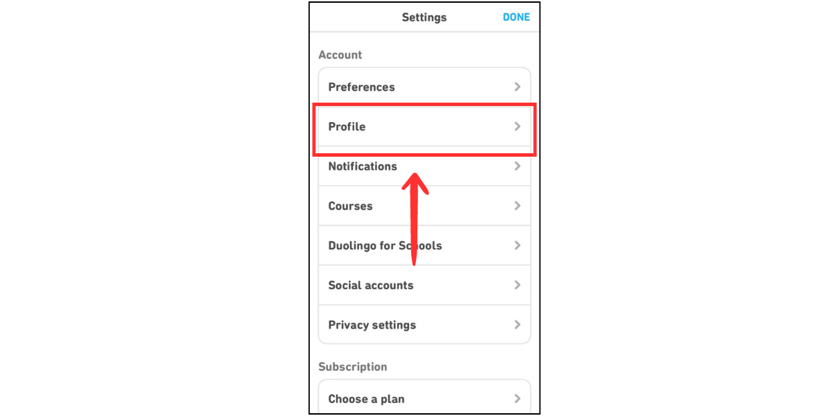 How To Change Your Name & Username On Duolingo - Duo Corner