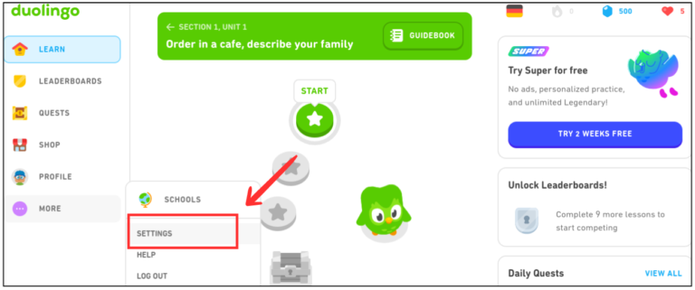 How To Change Your Duolingo Password? - Duo Corner