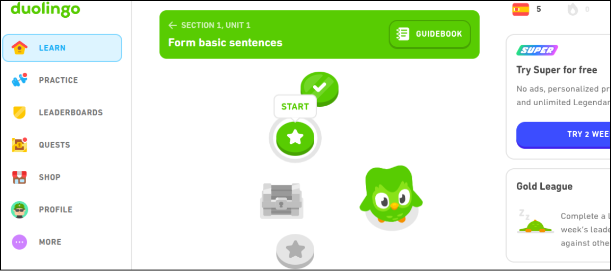 How To Change Your Name & Username On Duolingo - Duo Corner