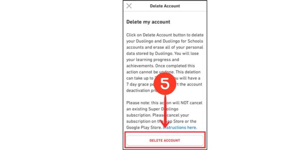 How To Delete Your Duolingo Account Permanently? - Duo Corner