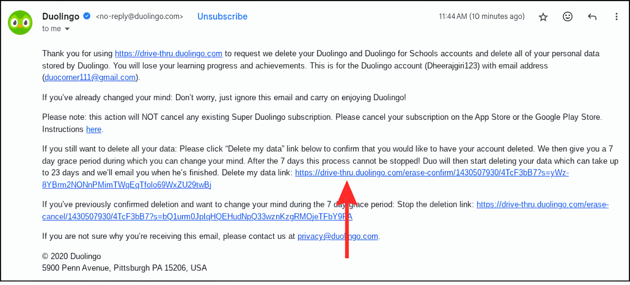 How To Delete Your Duolingo Account Permanently? - Duo Corner