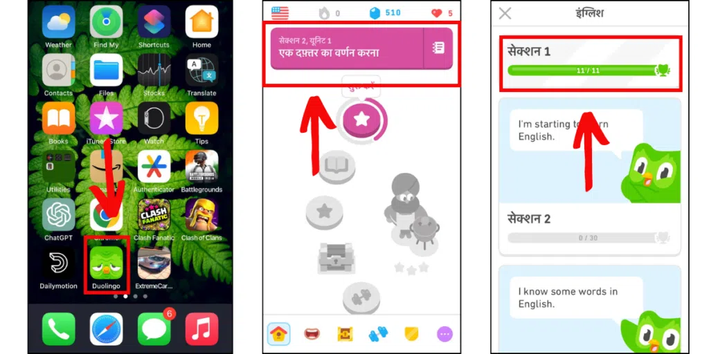 How Many Sections In Duolingo?