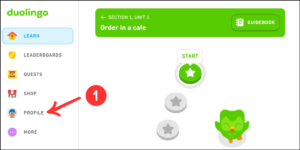 How To Create Your Duolingo Avatar (2025 Guide) - Duo Corner